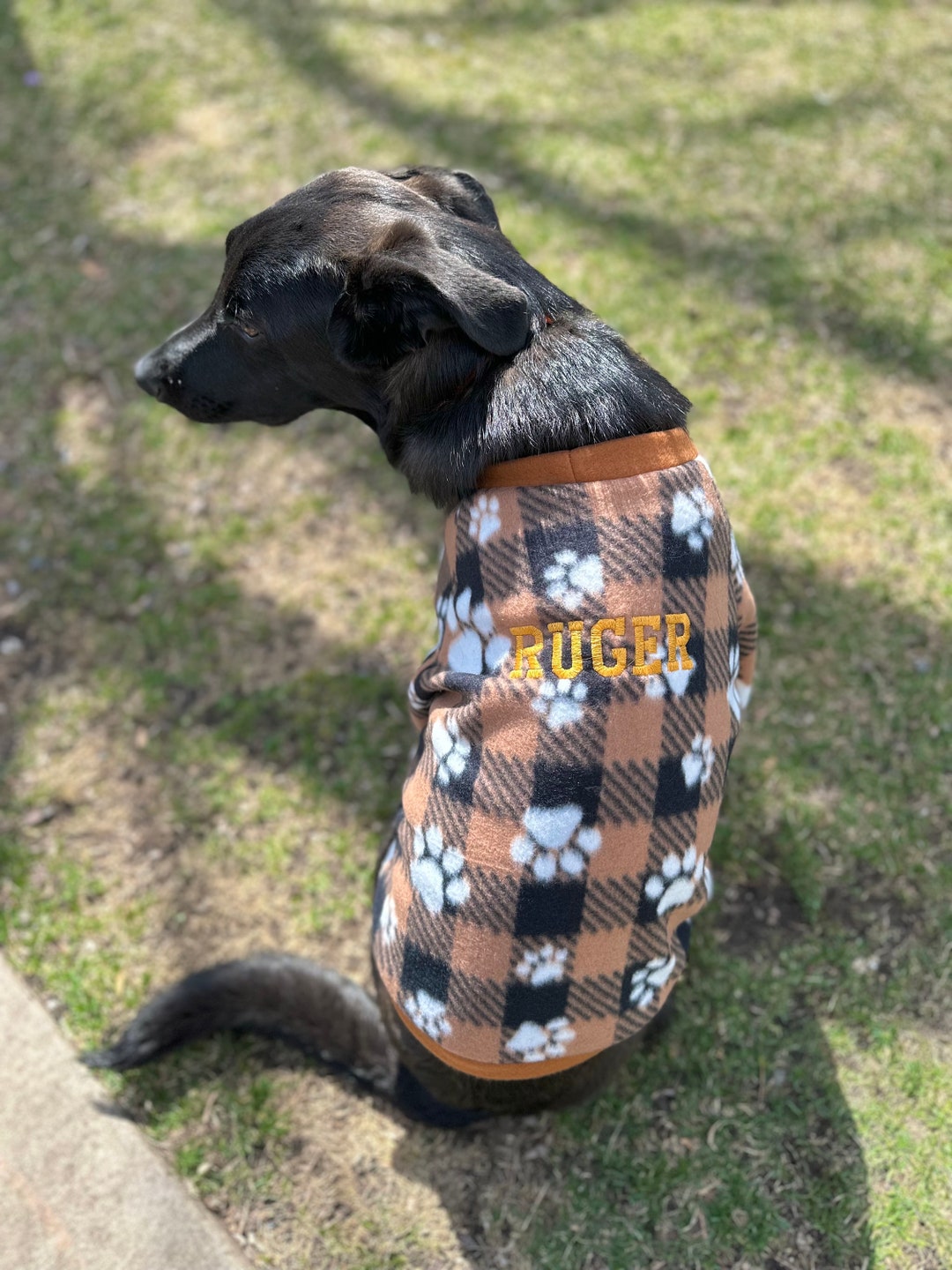 Custom Dog Sweater With Personalization. Personalized Dog Sweater. Dog ...