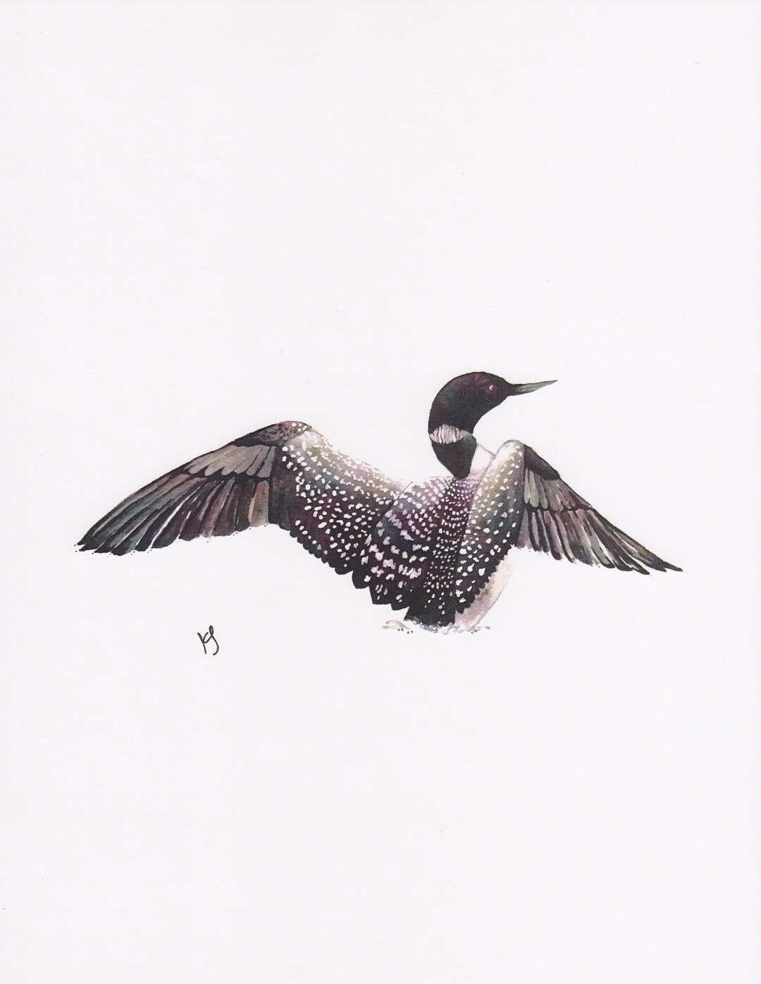 Loon Watercolour - Etsy