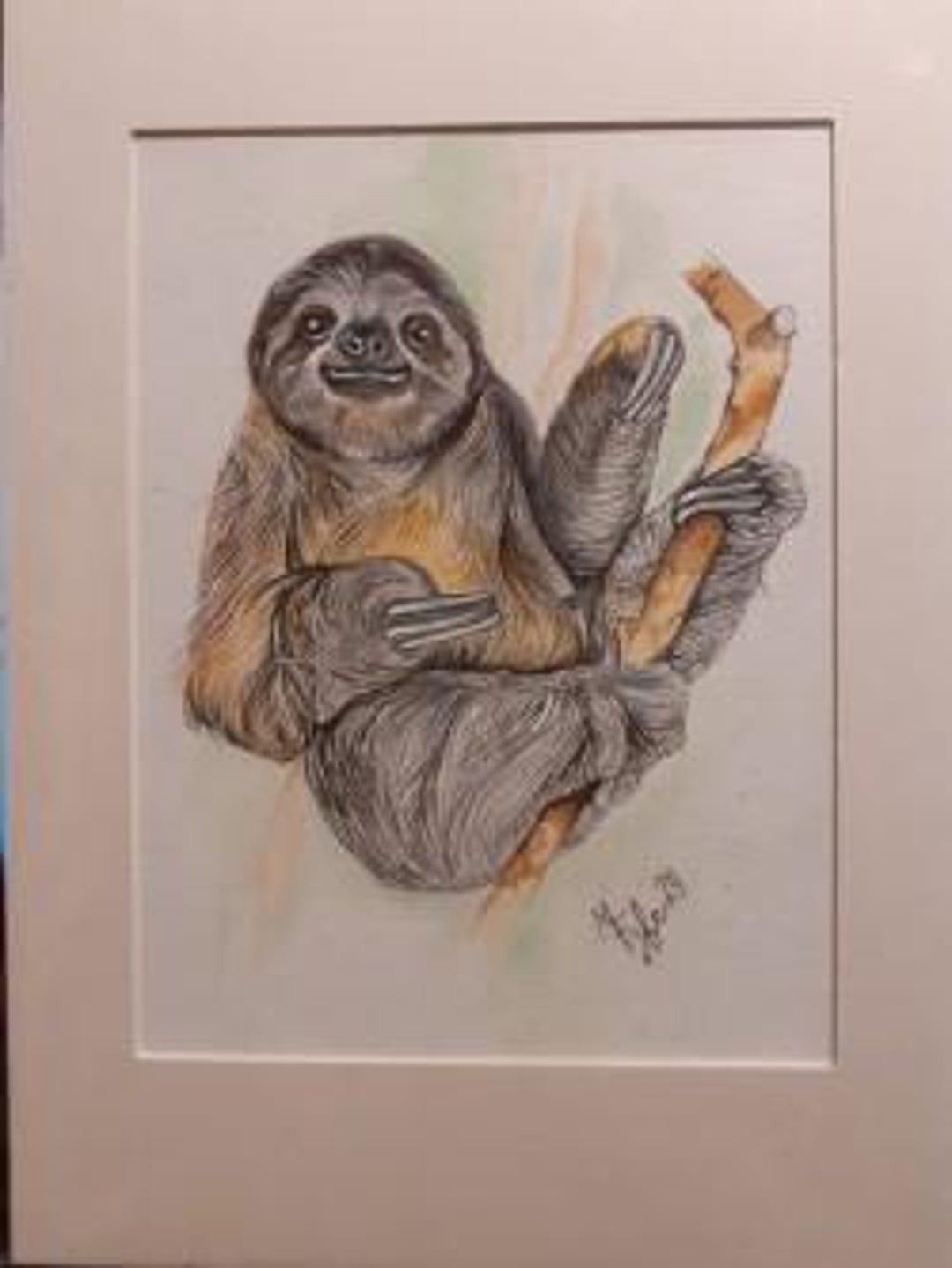 Watercolour Original Painting of Sloth - Etsy