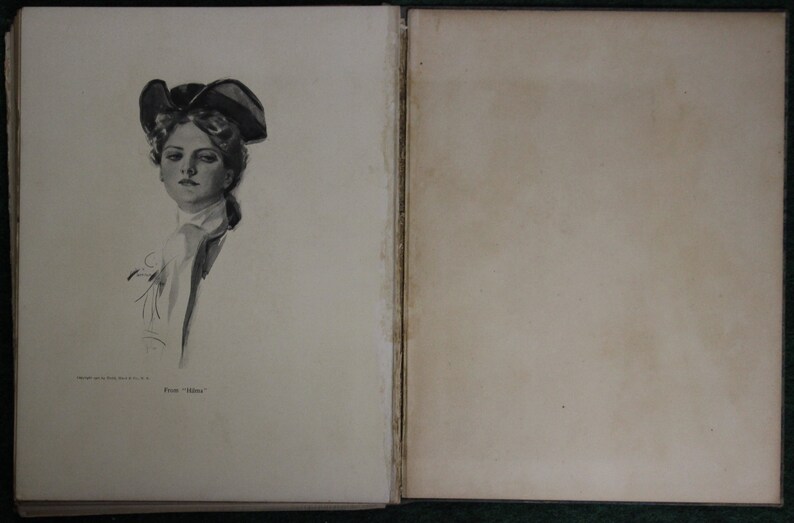 The Harrison Fisher Book: A Collection of Drawings in Colors Black and ...