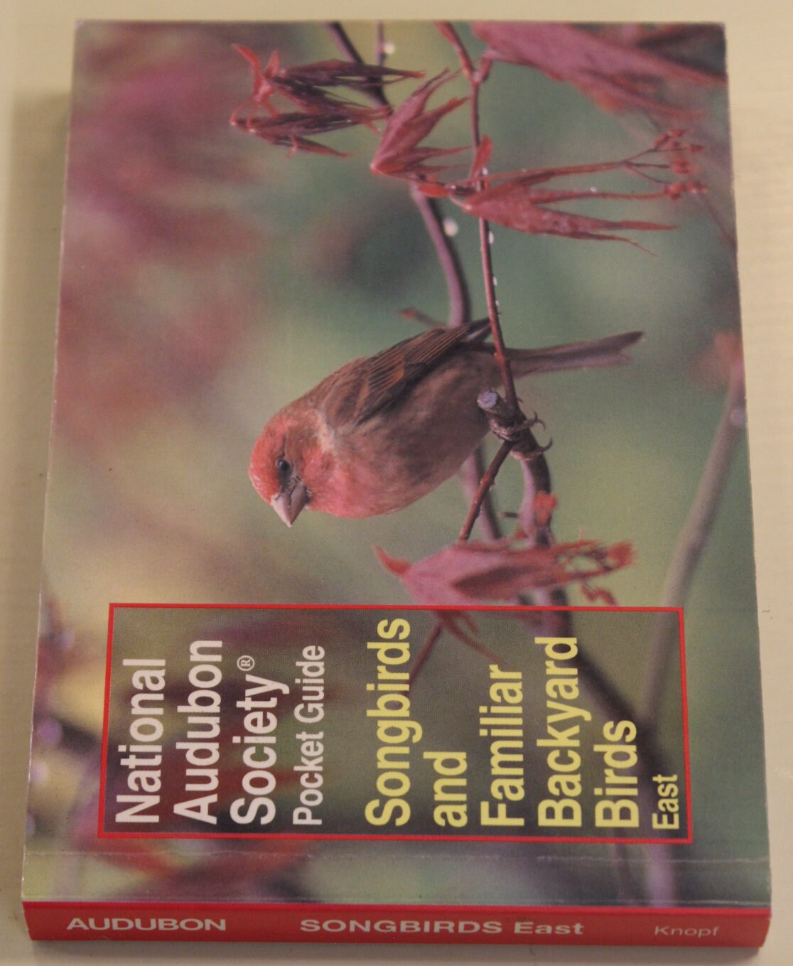 National Audubon Society® Pocket Guide: Songbirds and Familiar Backyard ...