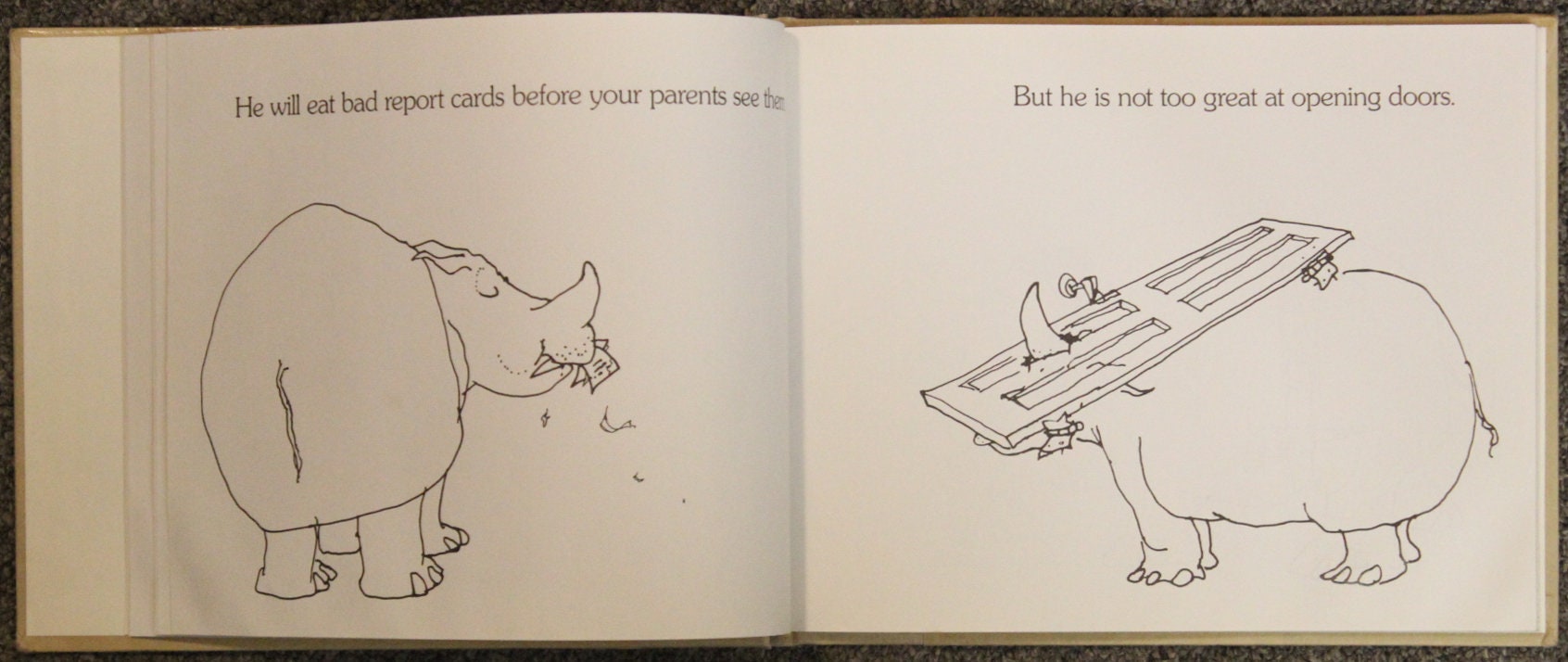 Who Wants A Cheap Rhinoceros