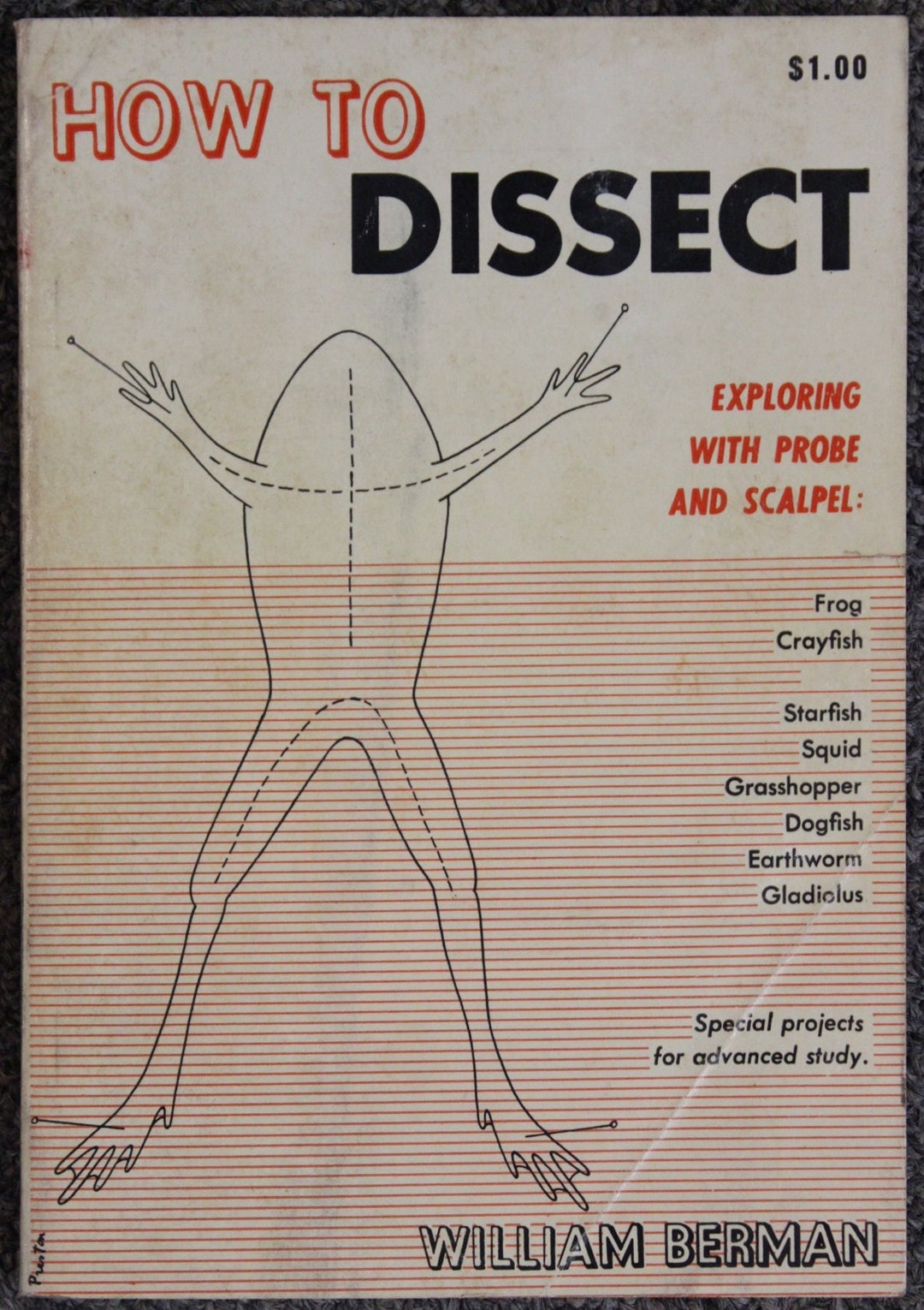How to Dissect: Exploring With Probe and Scalpel | William Berman ...