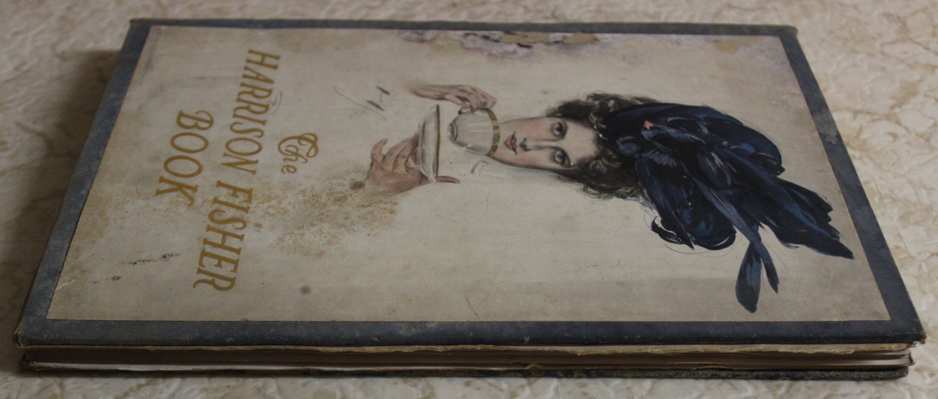 The Harrison Fisher Book: A Collection of Drawings in Colors | Etsy