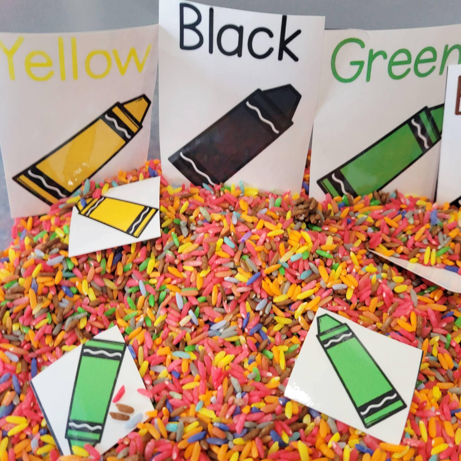 Color Matching Sensory Set Pretend Play - Etsy