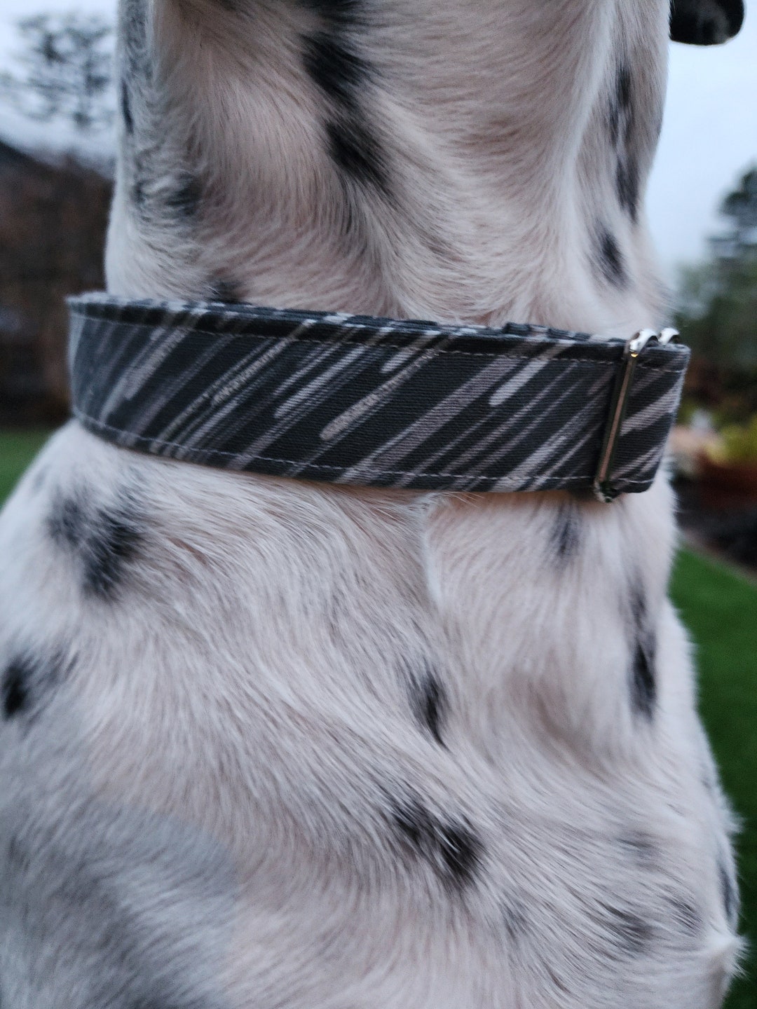 Metallic Rain Collar and Leash - MULTIPLE SIZES AVAILABLE - Etsy