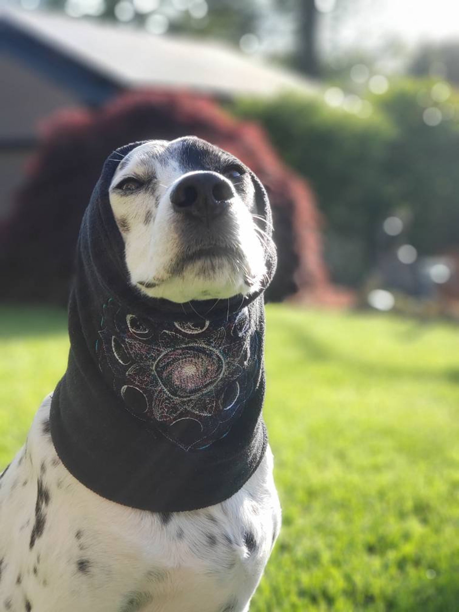 Galactic Moon Mandala Embroidered Dog Scarf or Snood - Etsy