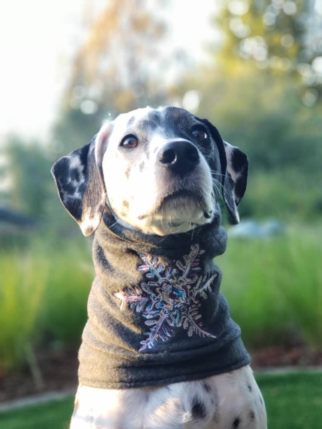 Rainbow Snowflake Embroidered Dog Scarf or Snood - Etsy