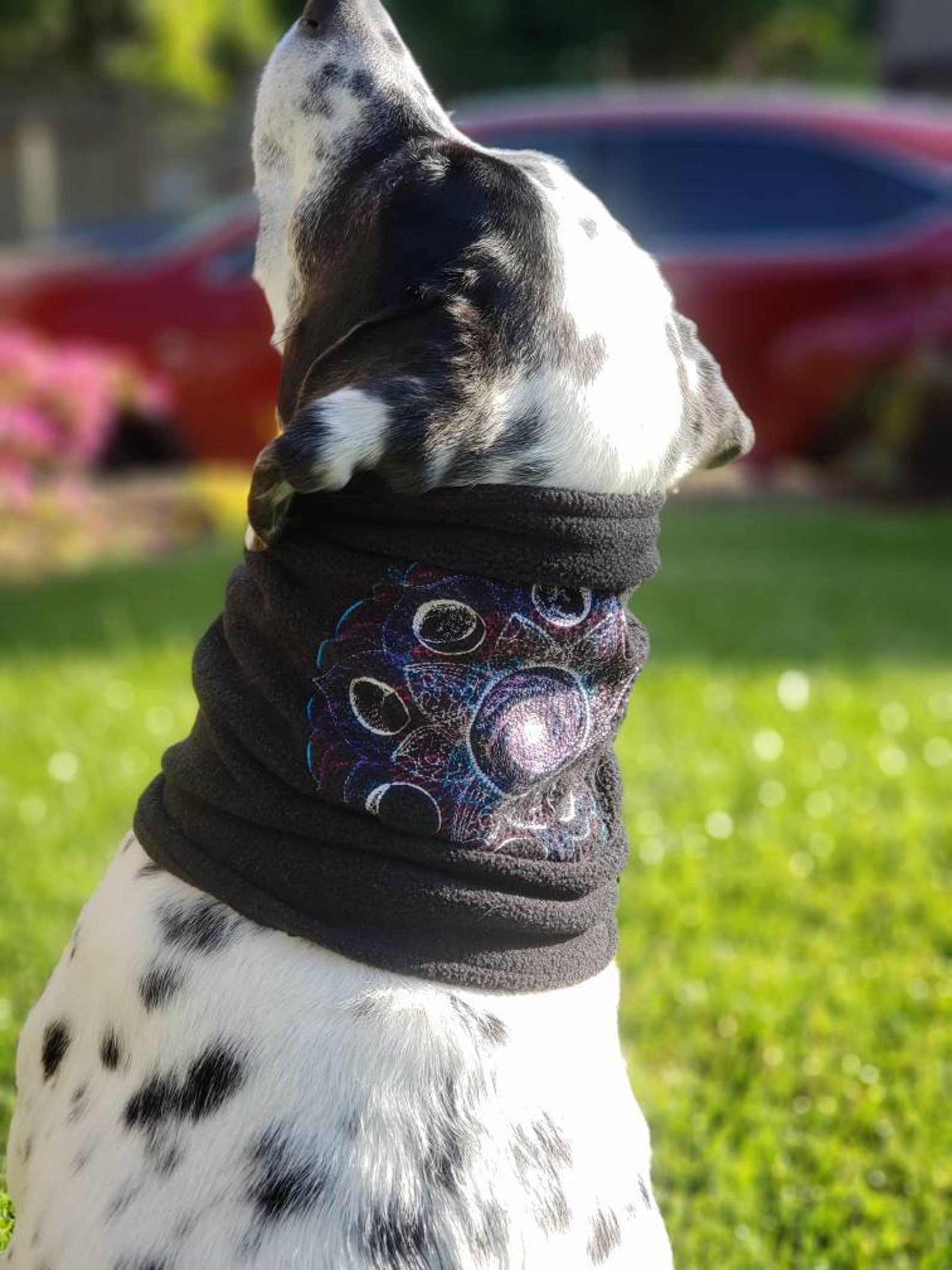 Galactic Moon Mandala Embroidered Dog Scarf or Snood - Etsy