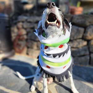 Sandworm Beetlegeuse Beetlejuice Inspired Embroidered Dog Costume Scarf ...