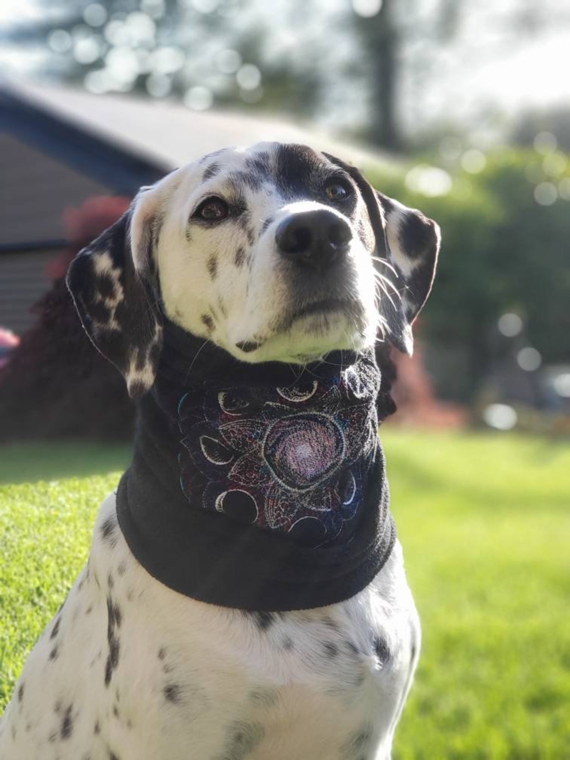 Galactic Moon Mandala Embroidered Dog Scarf or Snood - Etsy