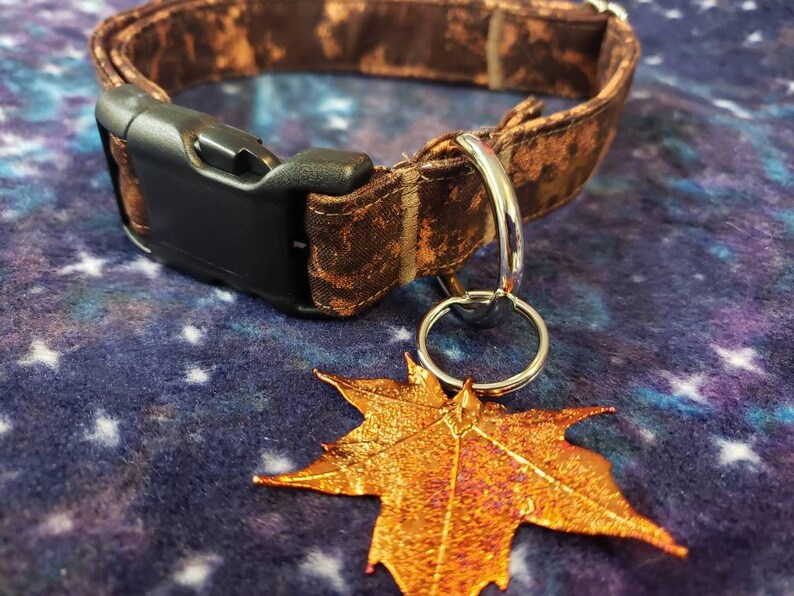 Autumn Leaves Dog Collar With or Without Metal Leaf Accessory - Etsy
