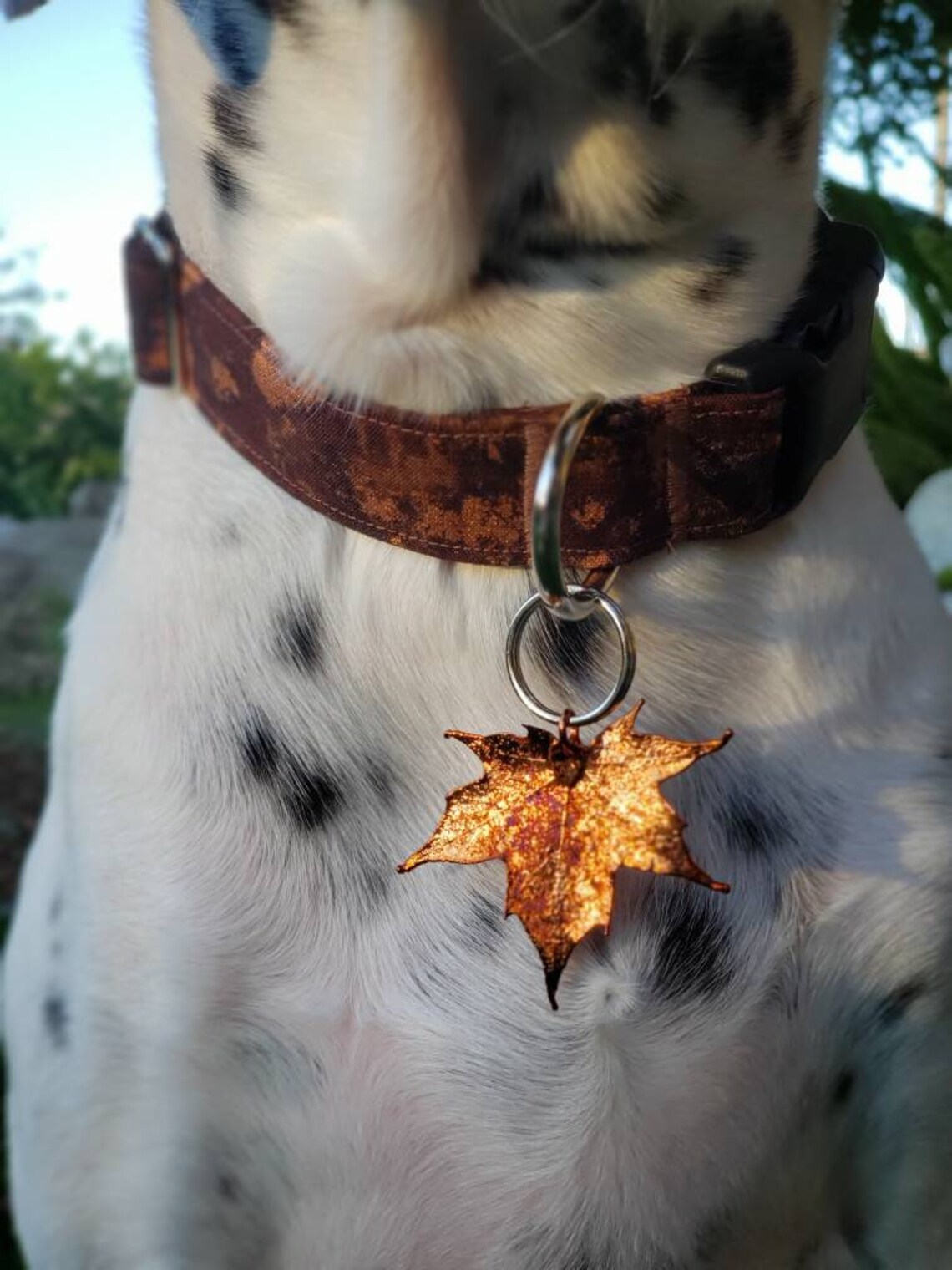 Autumn Leaves Dog Collar With or Without Metal Leaf Accessory - Etsy