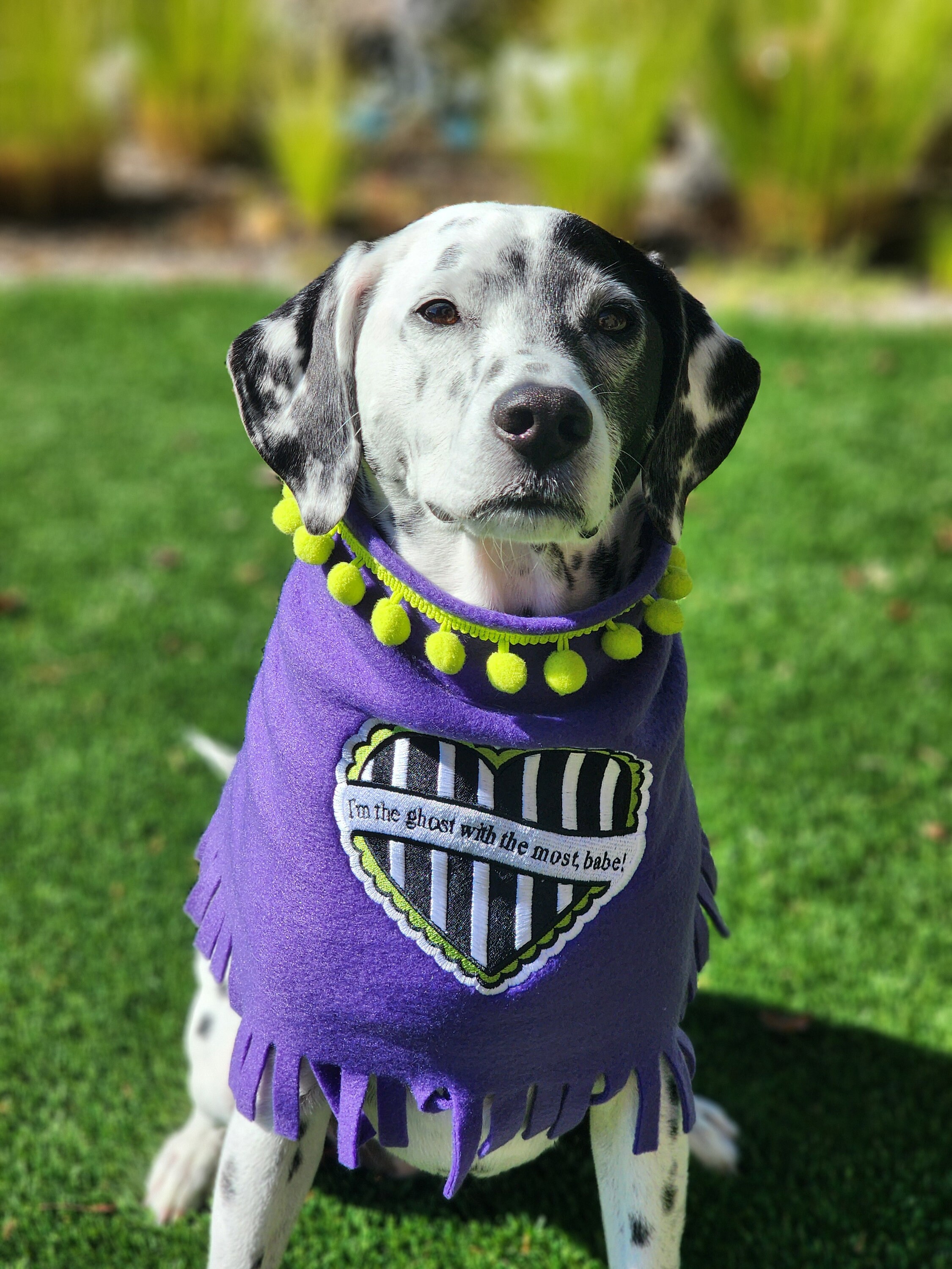 Ghost With the Most Babe Beetlegeuse Beetlejuice Inspired Embroidered ...