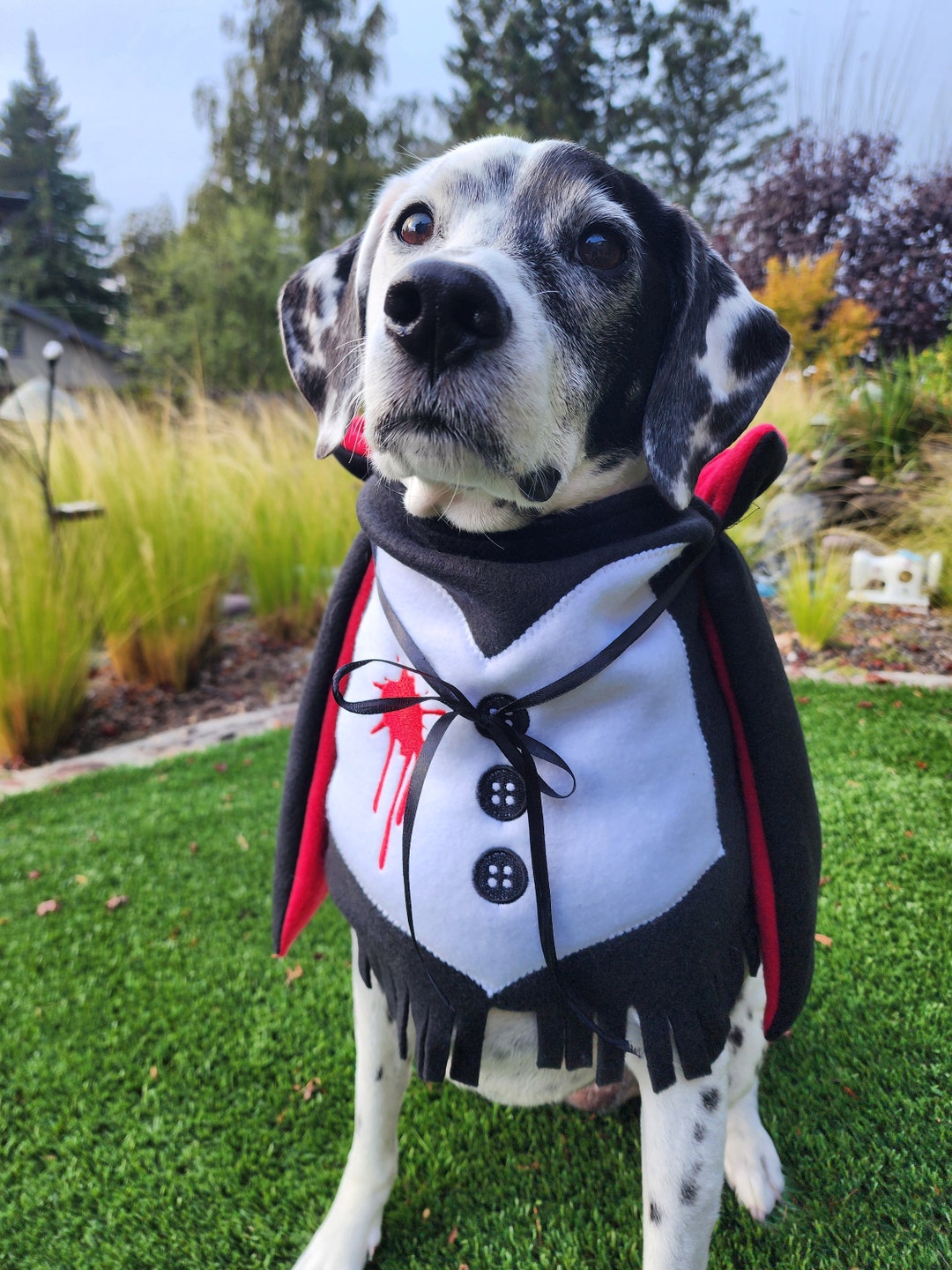 Dracula Vampire Inspired Embroidered Dog Costume Scarf or Snood - Etsy
