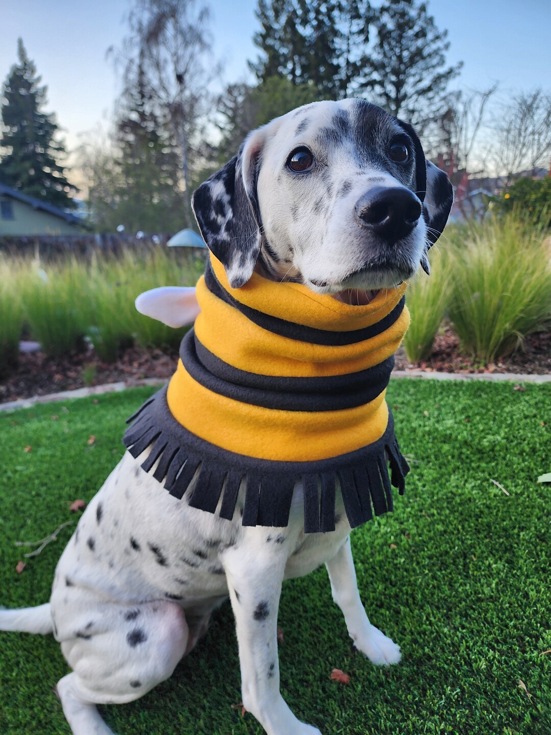 Bumble Bee Inspired Embroidered Dog Costume Scarf or Snood - Etsy