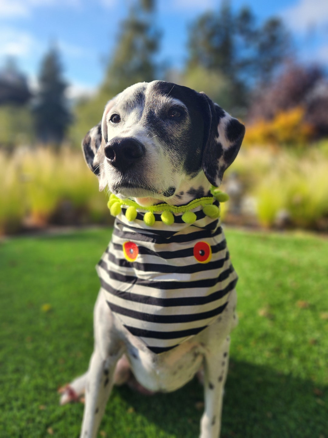 Beetlejuice Sandworm Inspired Slide on Dog Collar Bandana - Etsy