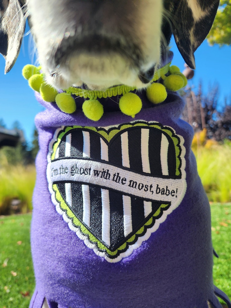 Ghost With the Most Babe Beetlegeuse Beetlejuice Inspired Embroidered ...