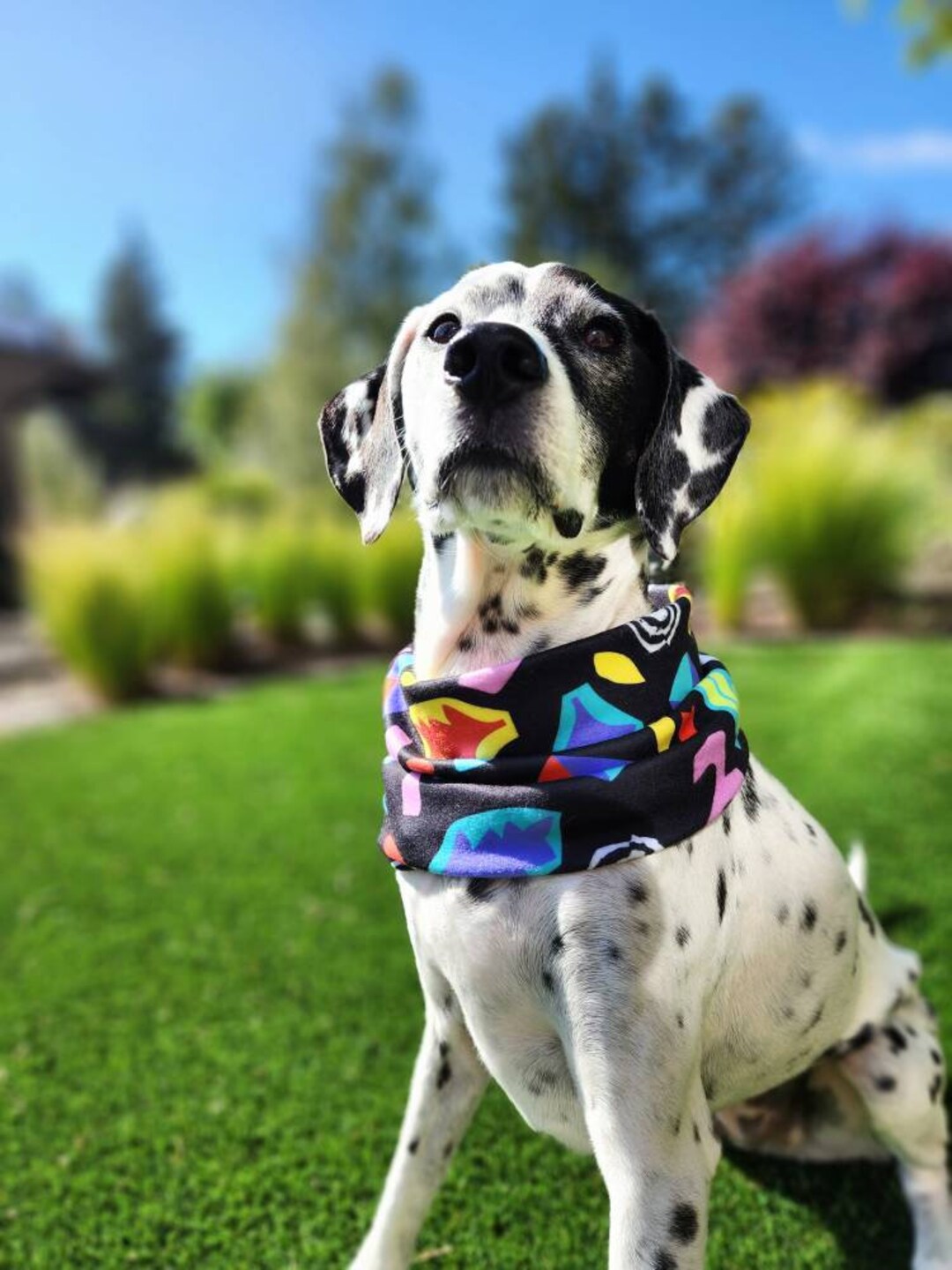 Eleven Print 80s Stranger Things Inspired Fleece Dog Embroidered Dog ...