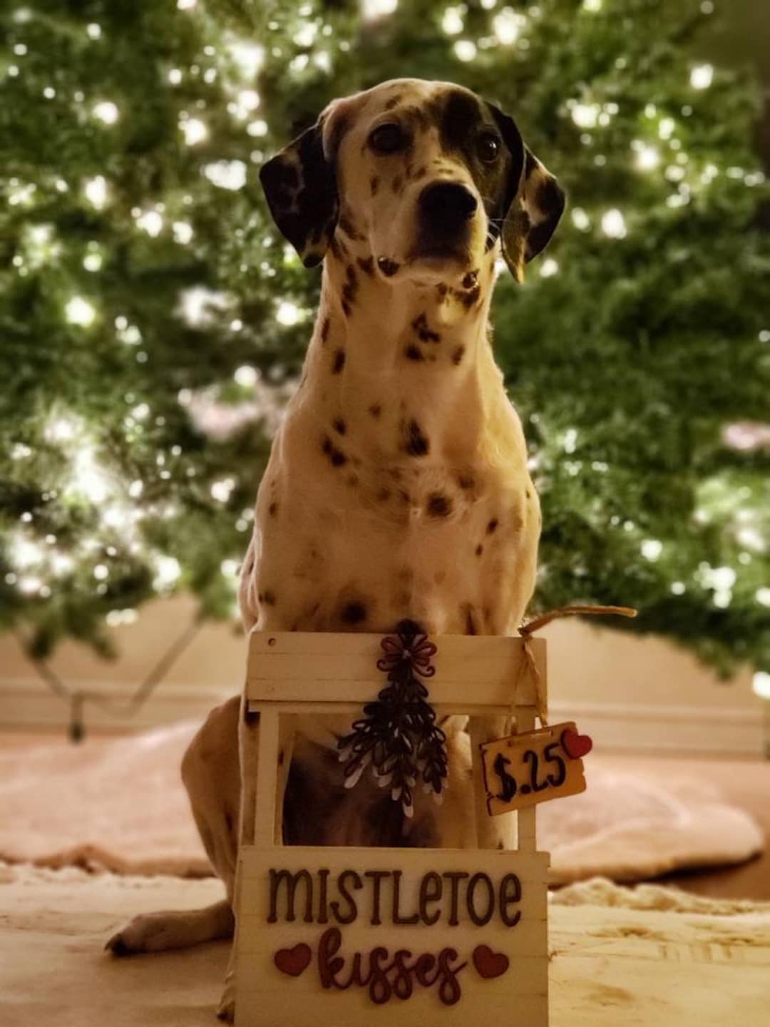 Mistletoe Kisses Booth Sign Photo Opportunity and Display Art - Etsy