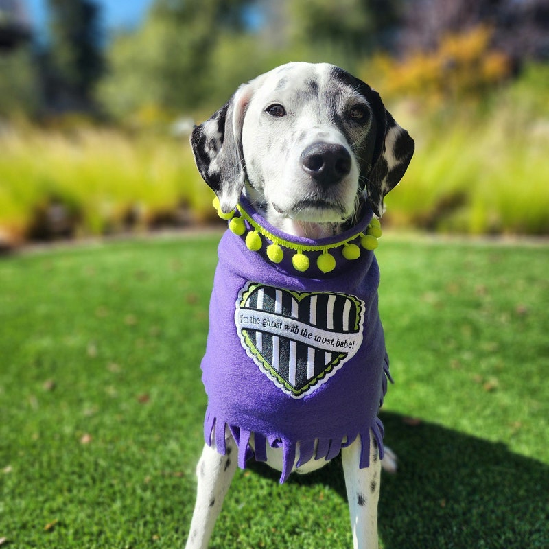 Sandworm Costume Dog - Etsy