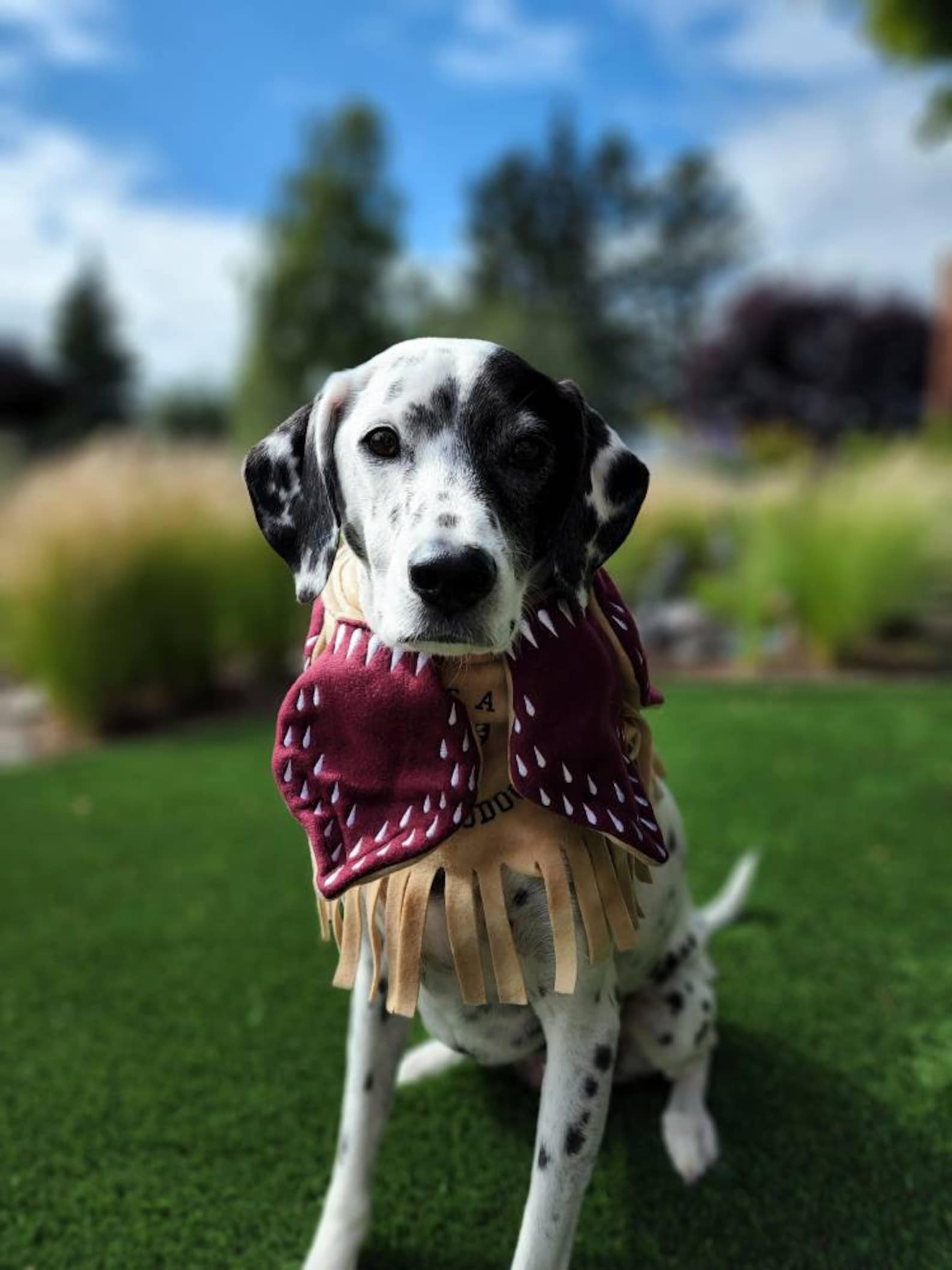 Demodog Demogorgon Stranger Things Inspired Embroidered Dog | Etsy