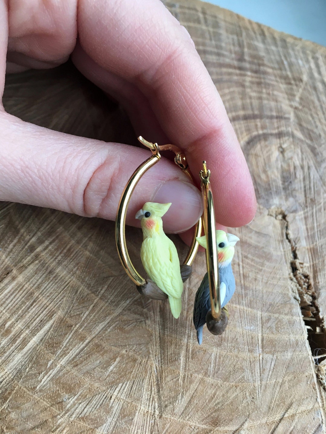 Cockateil Parrot Hoop Earrings, Parrot Earrings, Birds Earrings ...