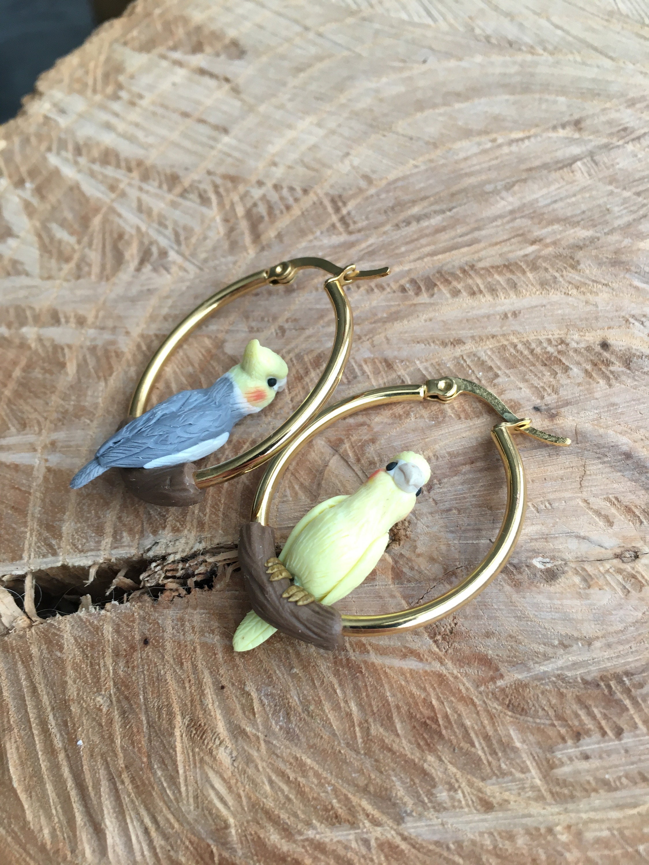 Cockateil Parrot Hoop Earrings, Parrot Earrings, Birds Earrings ...