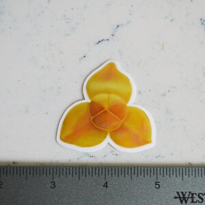 Romduol Cambodian Flower Vinyl Sticker - Etsy