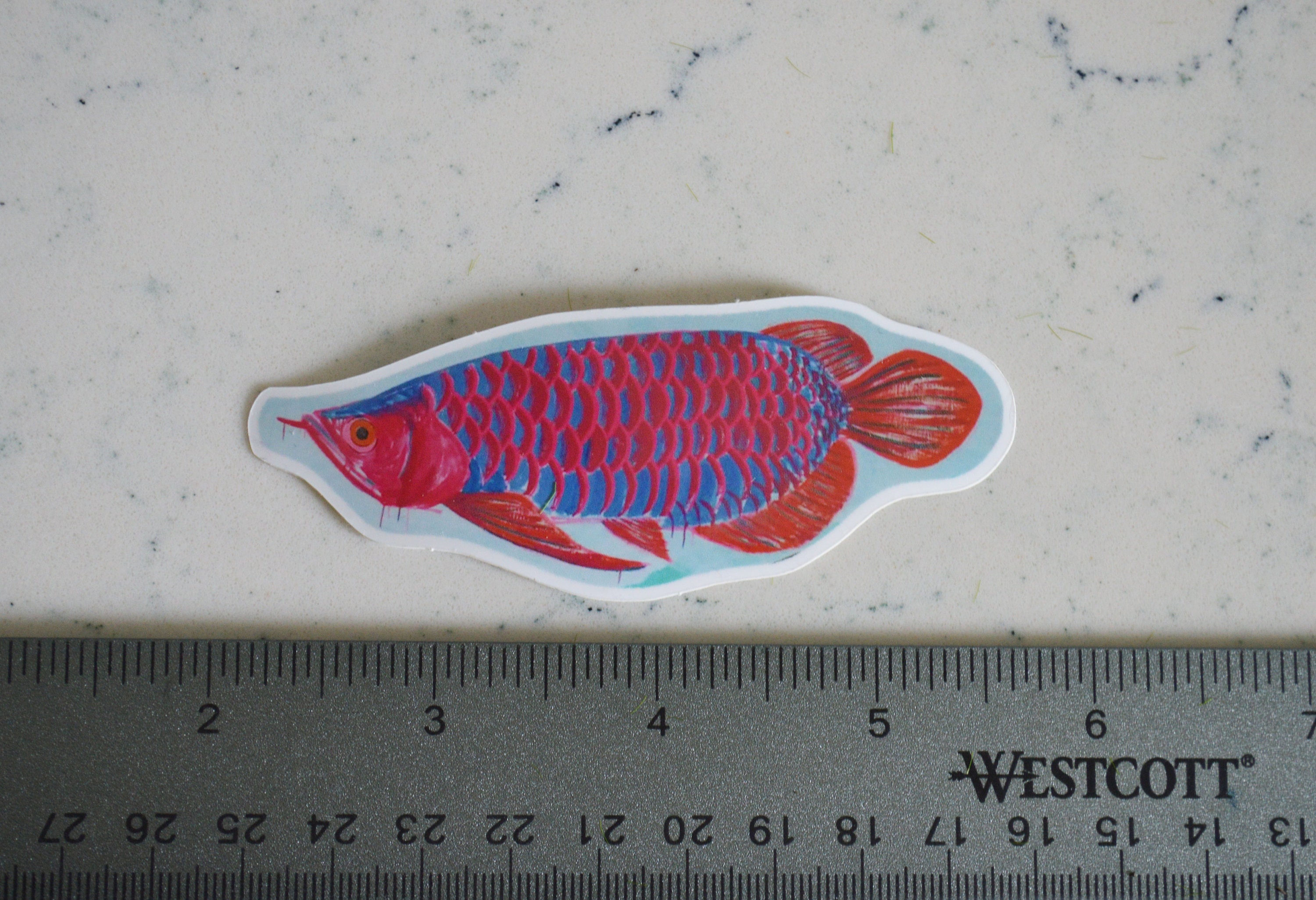 Arowana Fish Painting Vinyl Sticker, Cambodia - Etsy