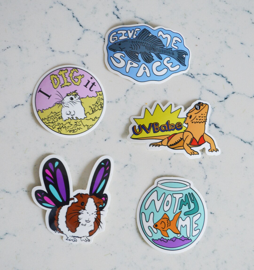 Specialty Pet Care Bulk Vinyl Stickers - Etsy