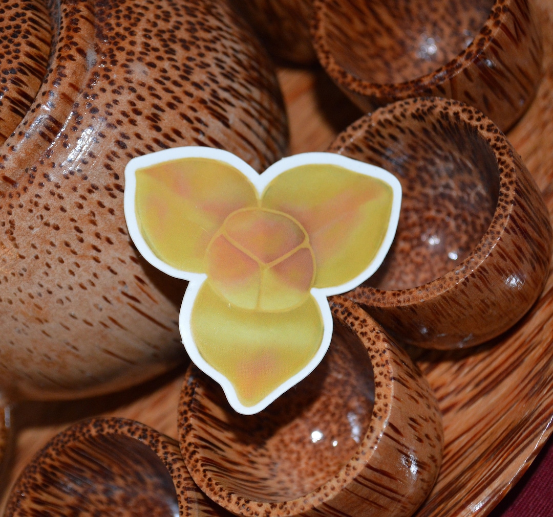 Romduol Cambodian Flower Vinyl Sticker - Etsy