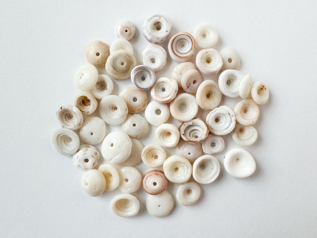 Heritage Puka Shells With Extra Character 50 Drilled Puka Shells Hawaii ...