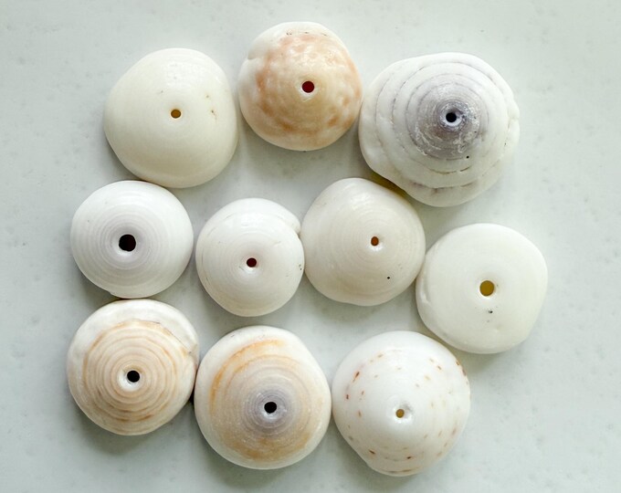 Hawaiian Puka Shells | 10 Extra Large Drilled Vintage Puka Shells ...