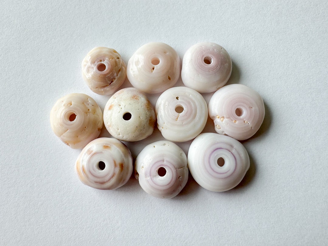 Puka Shells 10 Large Drilled Hawaiian Puka Shells Hawaii Jewelry Making ...