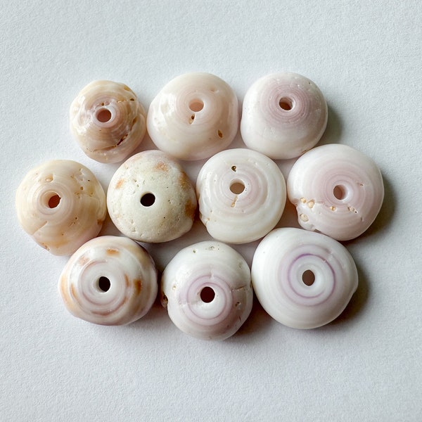 Puka Shells - Etsy