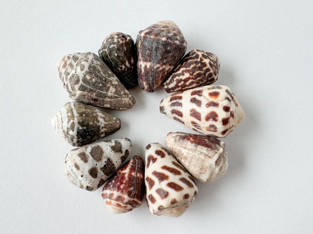 PomaikaiCollection - Etsy