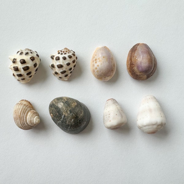 PomaikaiCollection - Etsy