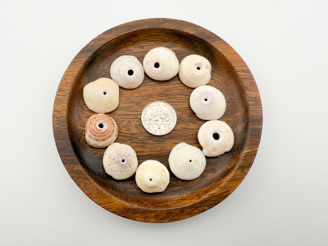 Large Puka Shells | 10 Big Hawaiian Puka Shells | Drilled Hawaii Puka Shell for Jewelry Making ...