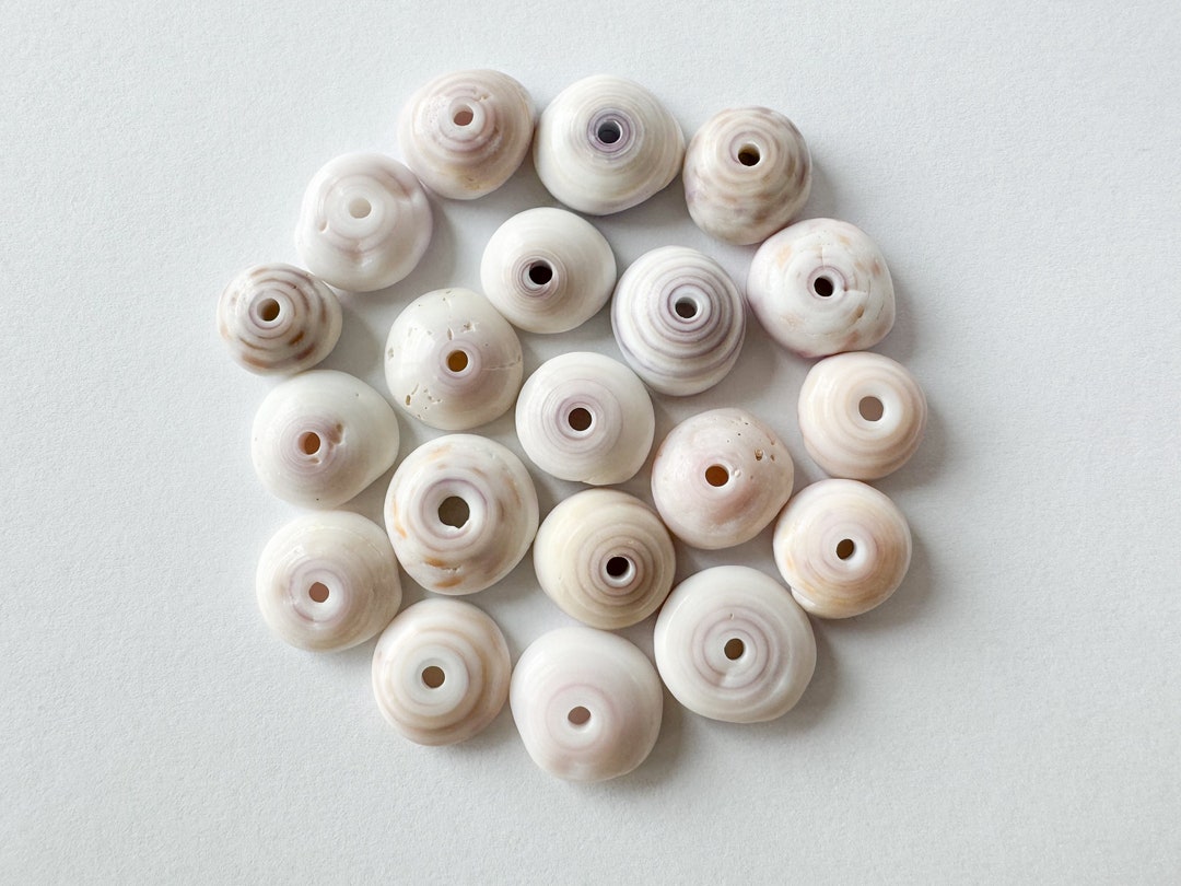 Puka Shells 20 Extra Large Drilled Hawaiian Puka Shells Hawaii Jewelry ...