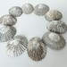 Opihi Limpet Hawaiian Shells | 10 Shells | Hawaii Shell Jewelry Making ...