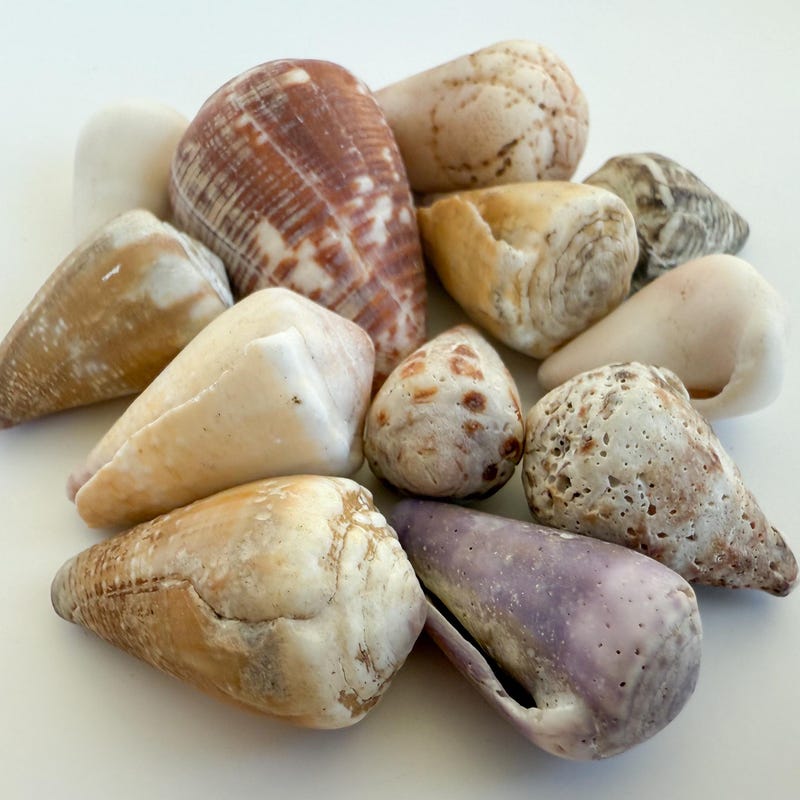 PomaikaiCollection - Etsy