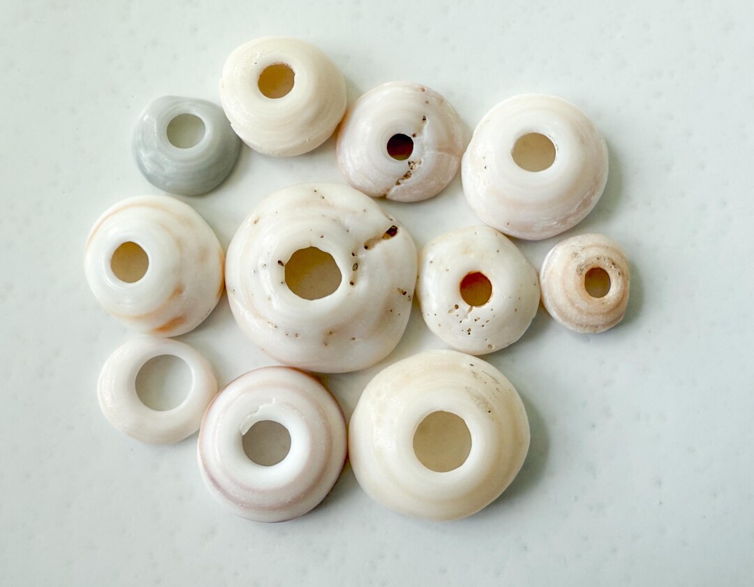 Large Hole Puka Shells 11 Vintage Hawaiian Puka Shells With Extra Large ...