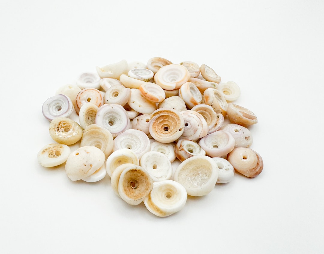 Heritage Puka Shells With Extra Character 50 Drilled Puka Shells Hawaii ...