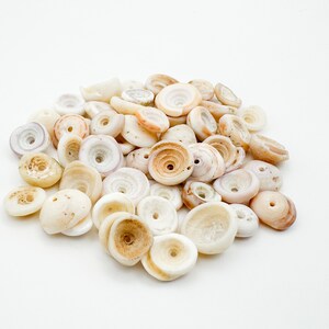 Puka Shells - Etsy