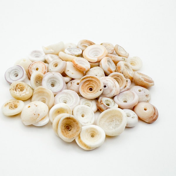 Puka Shells - Etsy