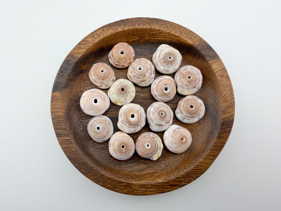15 Brown Hawaiian Puka Shells: Drilled Beach Jewelry Supplies (14-18 Mm ...