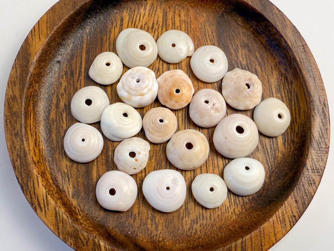Puka Shells | 20 Medium Drilled Hawaiian Puka Shells | Hawaii Jewelry ...