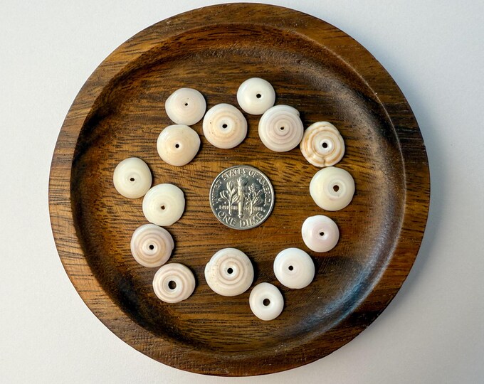 Puka Shells | 15 Drilled Hawaiian Puka Shells | Hawaii Jewelry Making ...