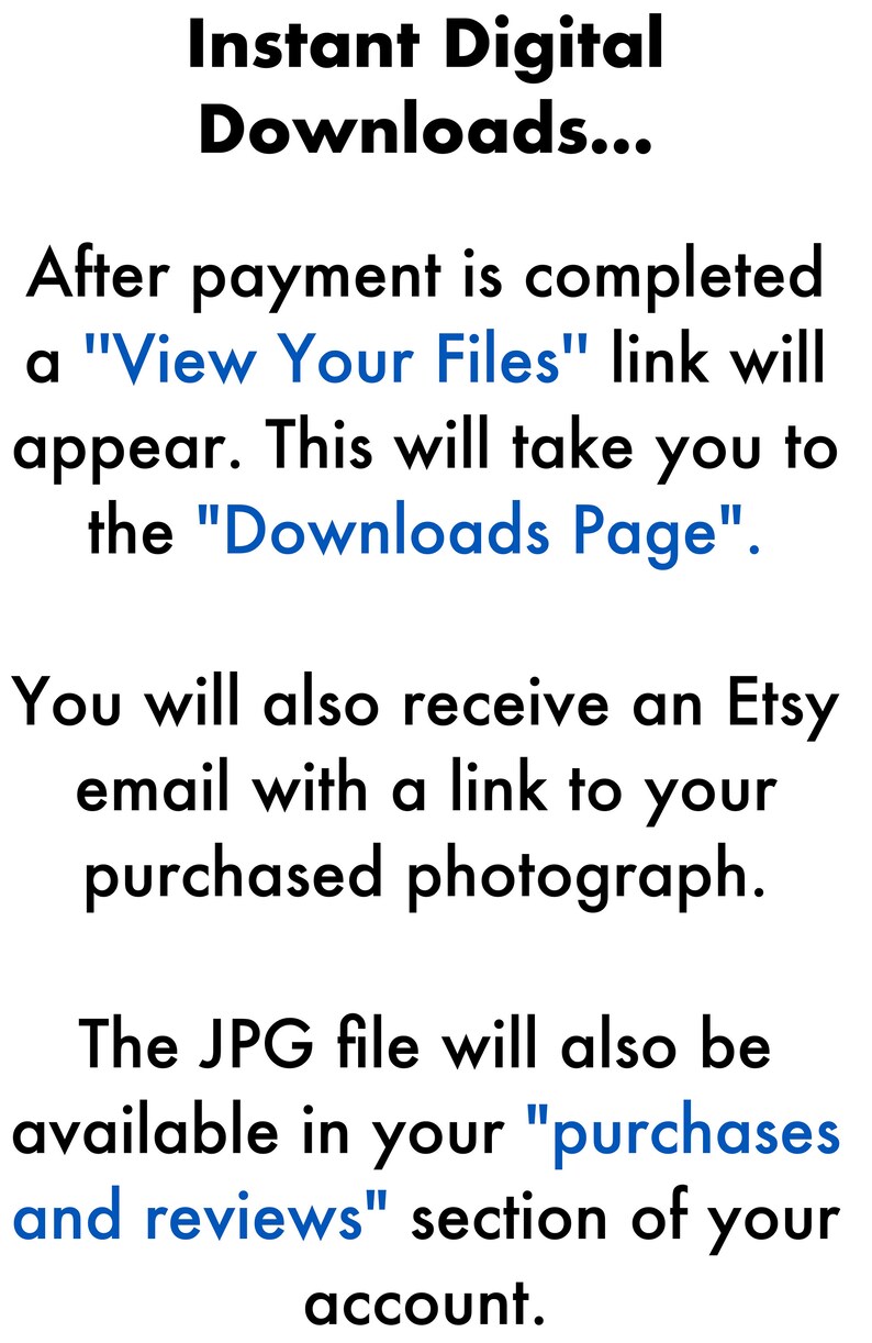 Instant Download Colour Photograph, DIY Print, Tights, Stockings ...